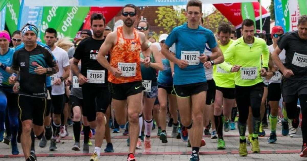 VII. City Cartel Fuss Neki futófesztivál | LikeBalaton